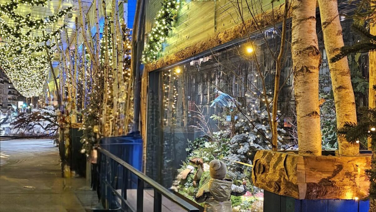 Top 5 Christmas windows in Paris that you must visit in 2025 - Trésors ...